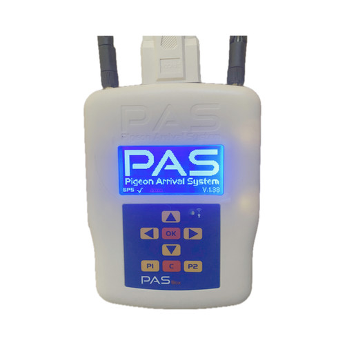 PAS BOX 2026 | The Racing Pigeon