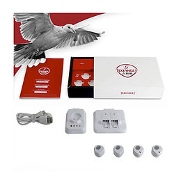 racing pigeon tracking