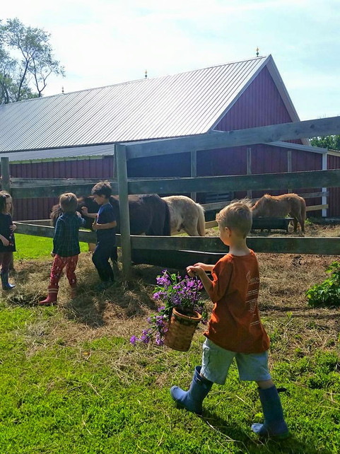 Montessori Nature School | Prairie Hill Learning Center | Lincoln, Nebraska