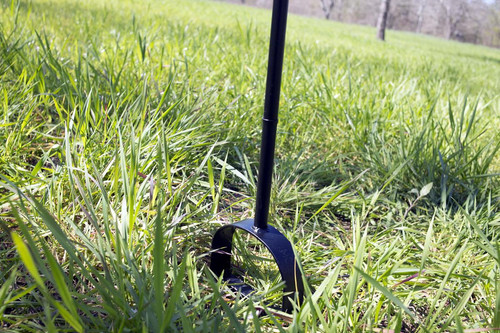 Mojo Dove Tree Decoy Set with Bag - HW9006 | B&W Tackle