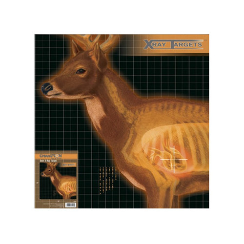 Champion X-Ray Deer Target - 25" x 25" - 6 pk - 45902 | B&W Tackle