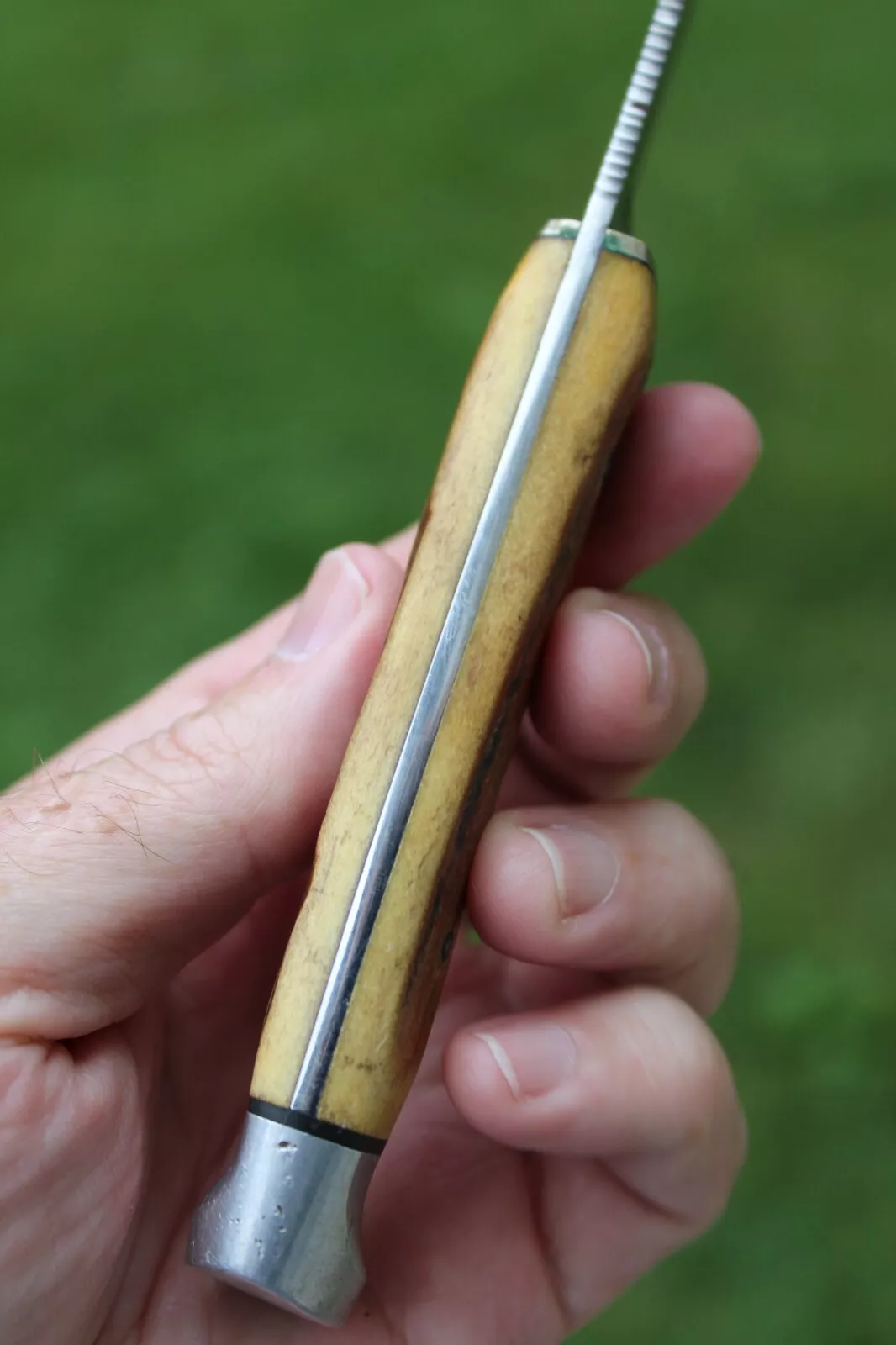 Case XX 516-5 SSP fixed blade knife | Knife Trading Post