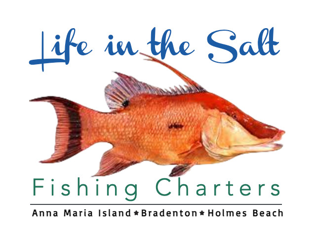 Gallery | Life in the Salt Fishing Charters