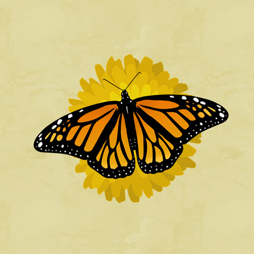 Monarch& Flower | Ambrosia Rae Designs