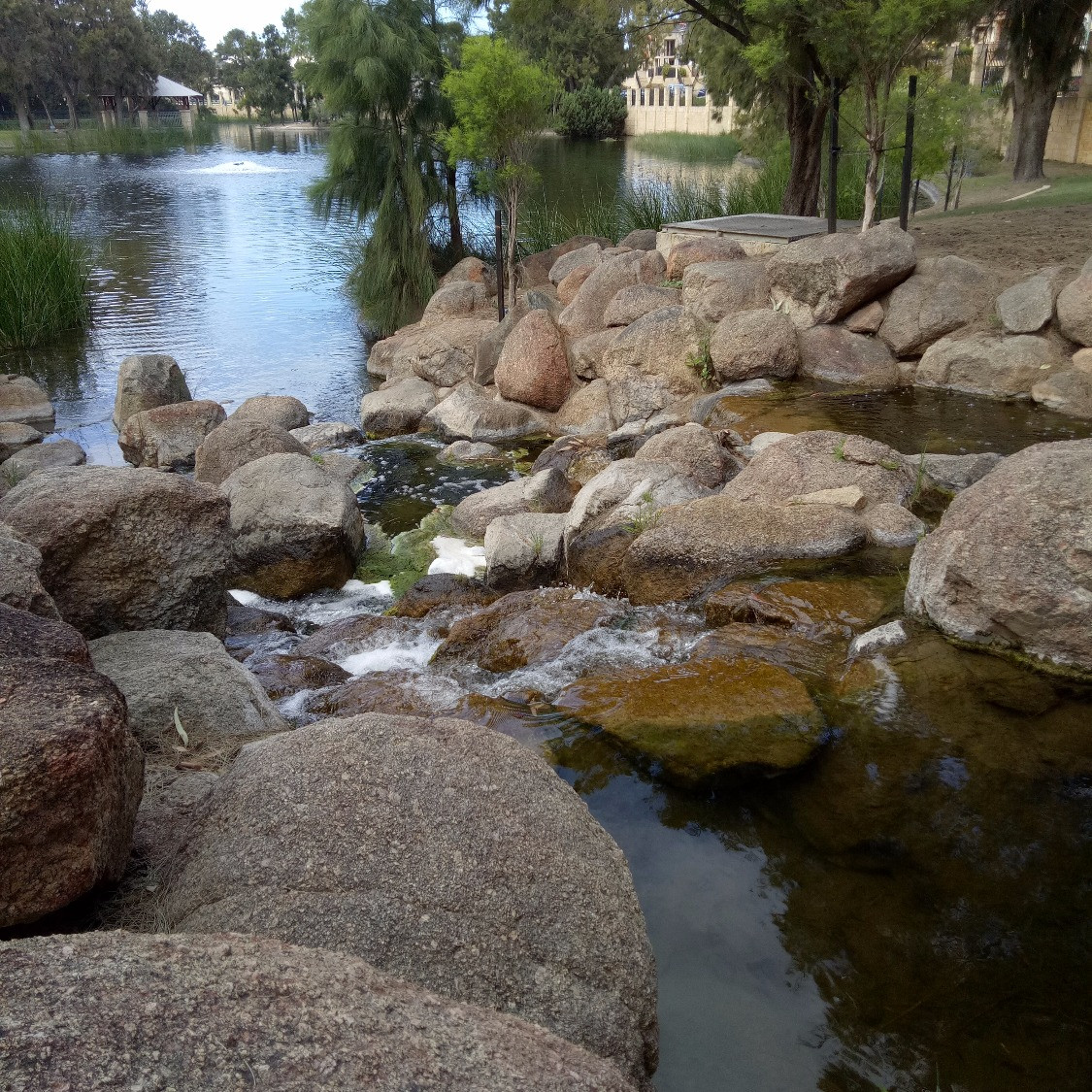 What To Do And See In Perth | Out and About Family Nature Connection ...