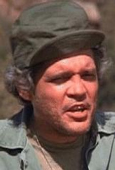 Do you pronounce the 'h' in 'vehicle'? > General Discussion > AR15.COM