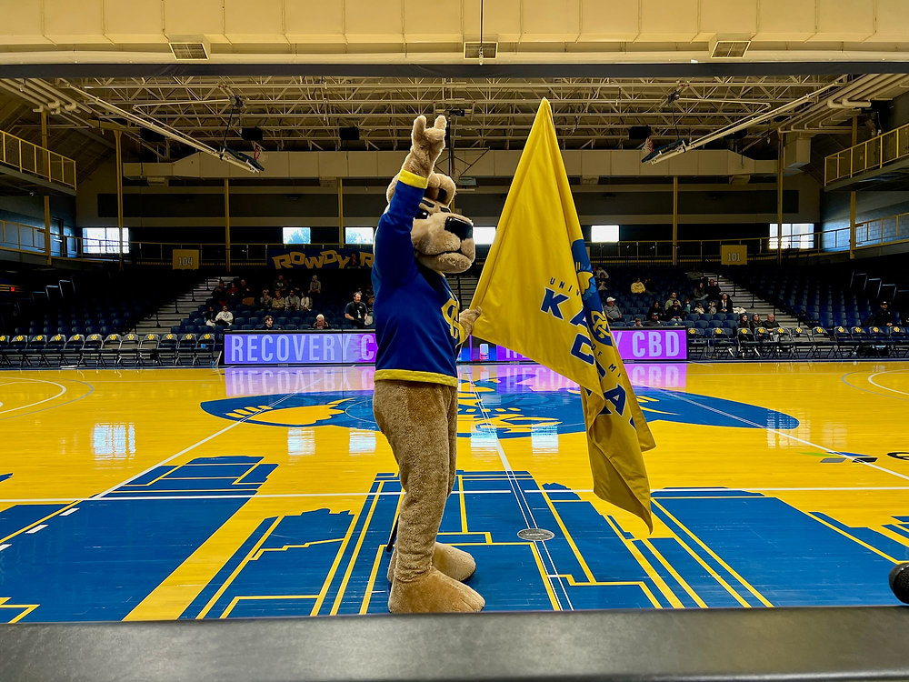 Swinney Recreation Center - Kansas City Roos