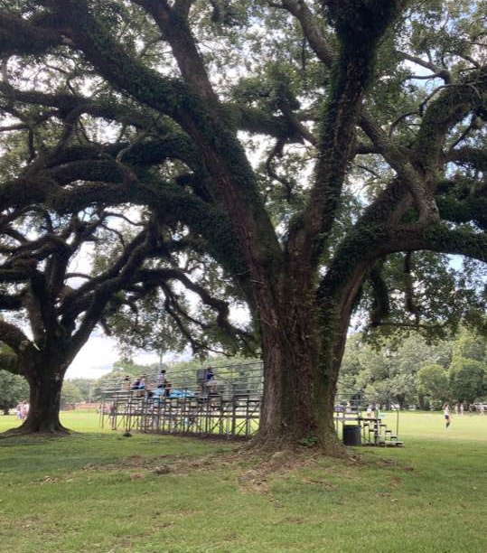 Library Field - Spring Hill College Badgers