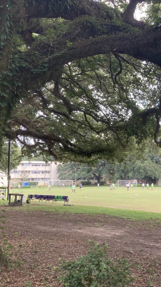 Library Field - Spring Hill College Badgers