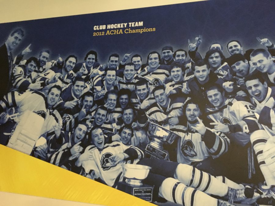 Fred Rust Arena - Delaware Blue Hens