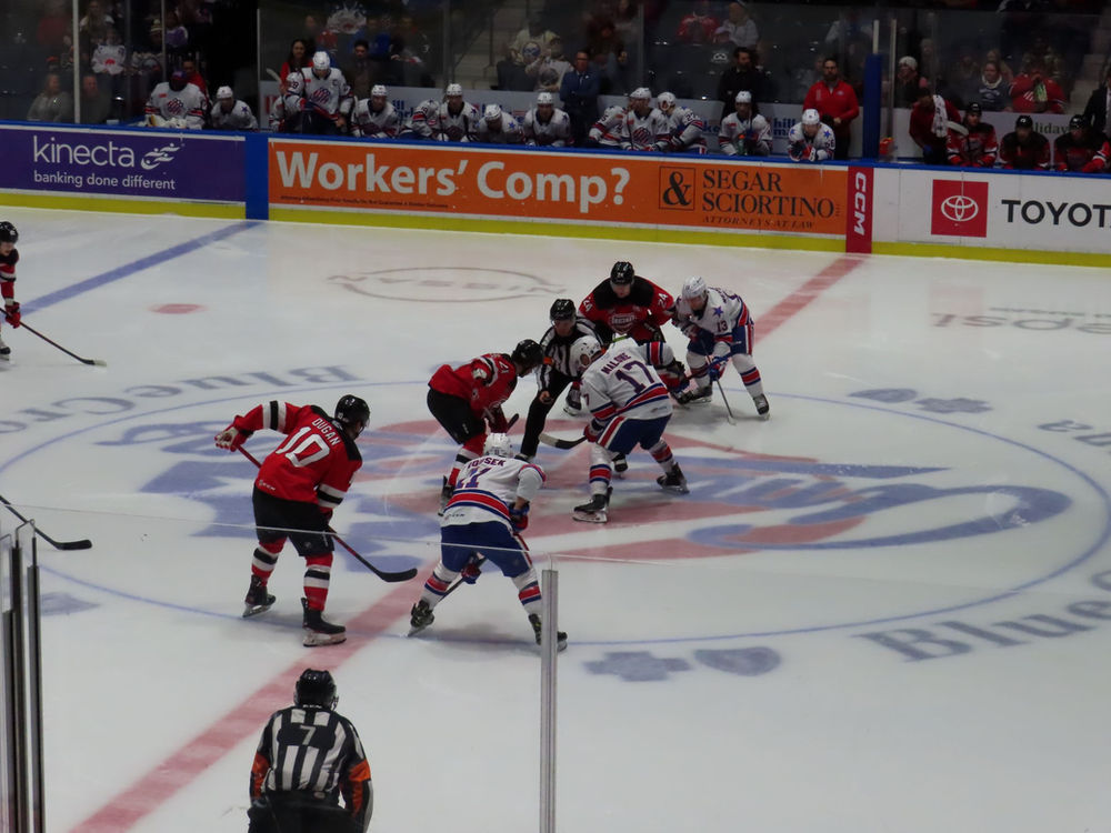 Blue Cross Arena – Rochester Americans