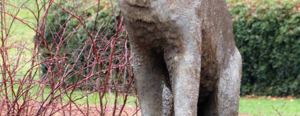 Ramsey Center – Western Carolina Catamounts