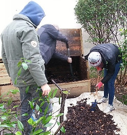 DM COMPOST | Valorisation des biodéchets par compostage Paris Ile-de-France