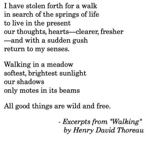 For A Walk - Mezzo | Shruthi Rajasekar