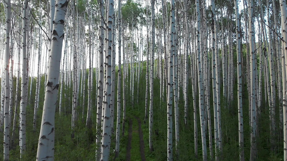 Pando Alts | Alternative Investment Platform for Wealth Managers