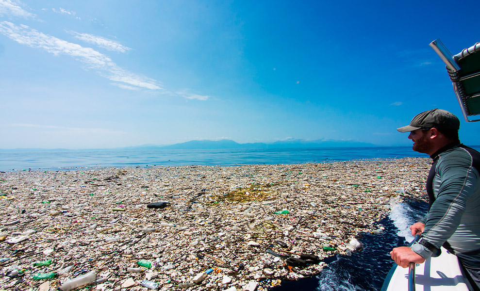 Una isla gigante de basura flotante llega al mar caribe afectando una ...