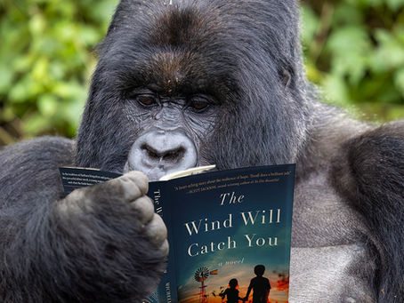 HOME | Michelle Theall