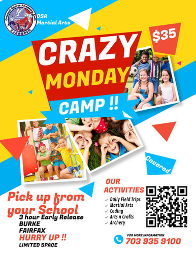 MONDAY HALF DAY CAMP (FCPS SCHOOLS) | OSA Martial Arts