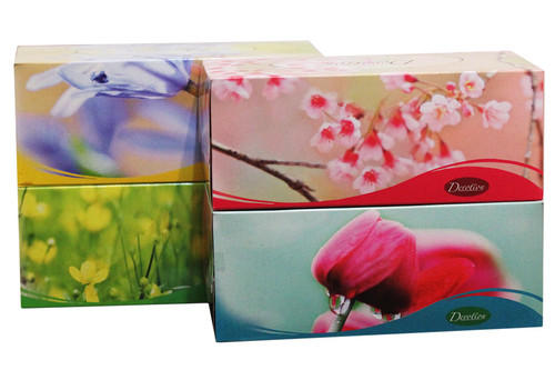 2 Ply Facial Tissues 180shts/box (36 boxes/carton) | Dynamic Chemicals