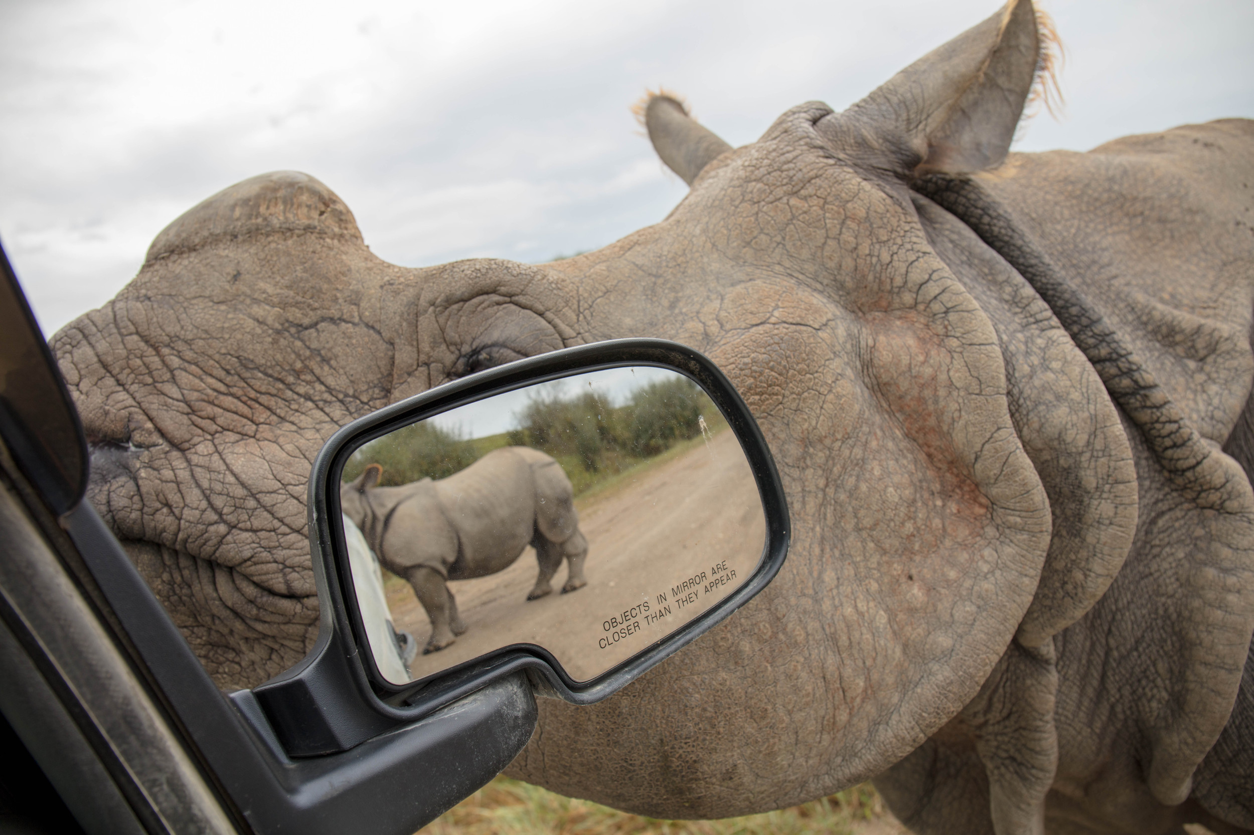 An Astronaut, a Rhino and a Rocket Walk Into a Bar
