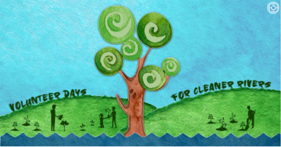 Te Whau Pathway Plant a Tree Project - West Auckland | whauriver