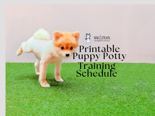 Printable Puppy Potty Training Guide & Schedule | Wag & Train