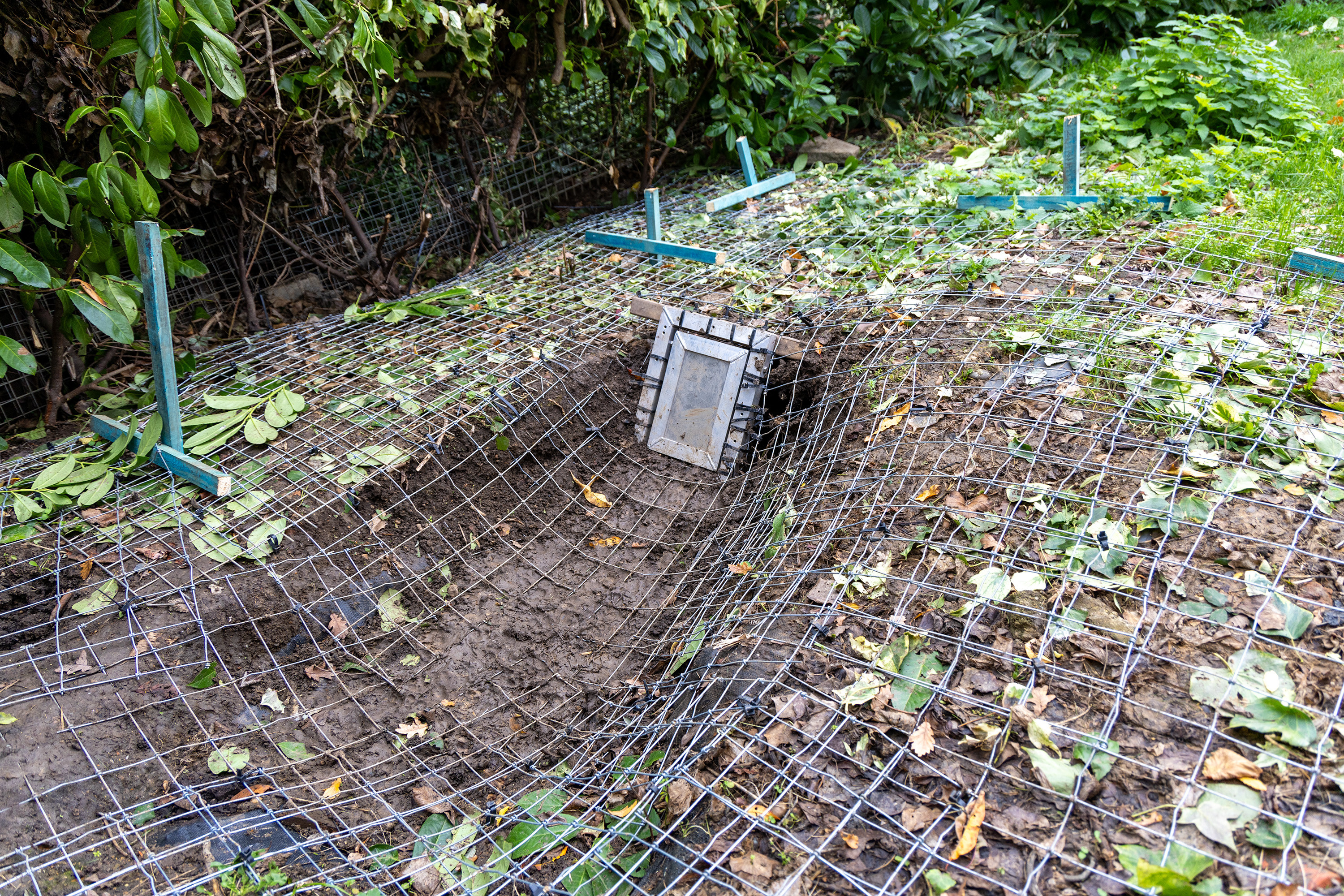 Badger-Proofing a Residential Garden