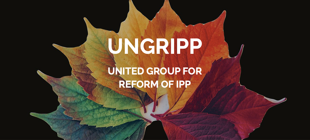 UNGRIPP - What is IPP?