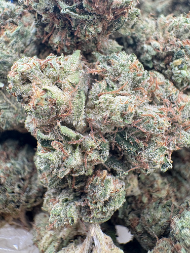 Emperor OG | Cannabis Hunter SD