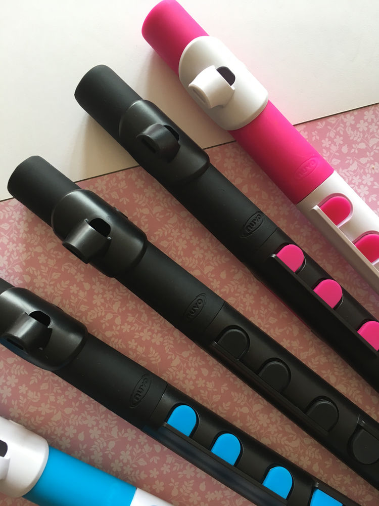 Which flute to buy for a beginner?