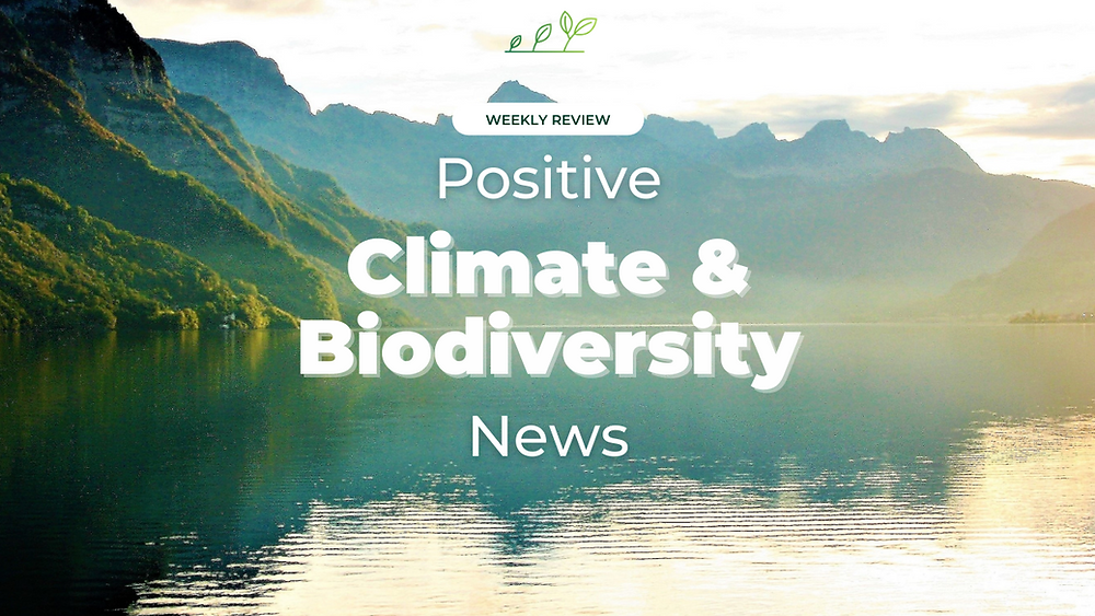 Positive Climate & Biodiversity News - Week #1