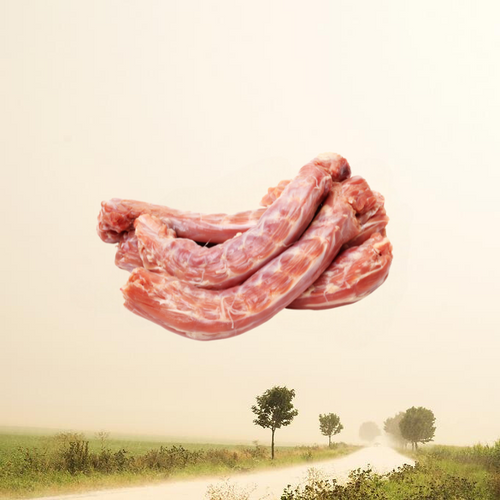 Duck Neck | YSH Farm