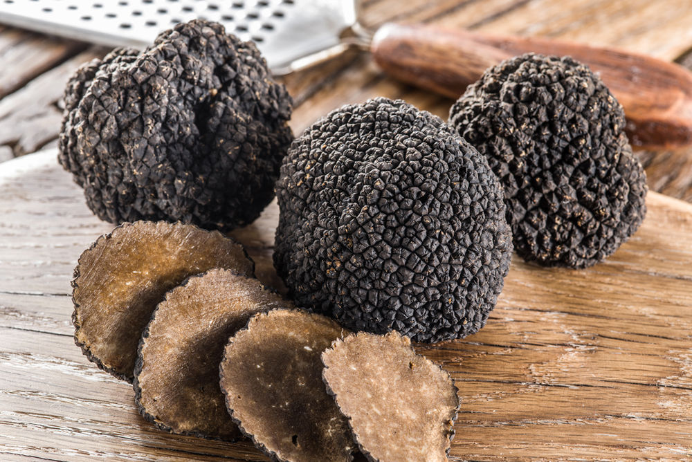 ทรัฟเฟิล (Truffle)