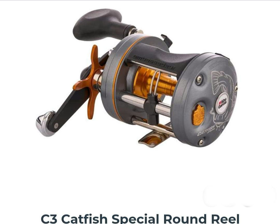 C3 CATFISH SPECIAL 6500 ROUND REEL/ Free Edisto River Rig | Edisto ...
