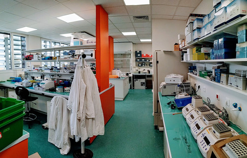 Gallery | Gaëlle Legube Lab