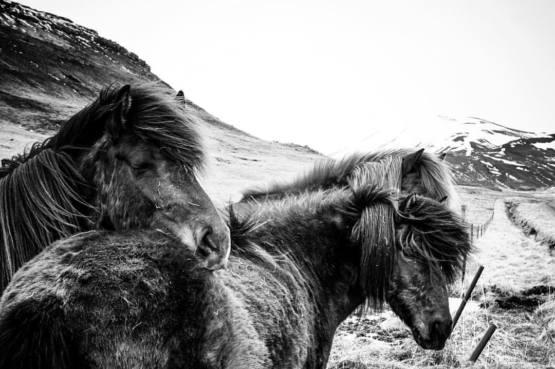 Michelle Hofer Photography | Calgary Photographer | Alberta Canada