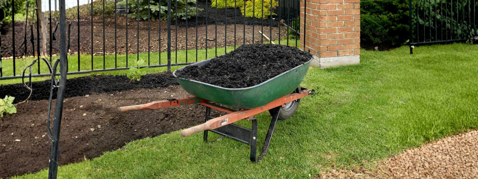 Yard Work Injuries: What Causes Them and How to Stay Active Outdoors