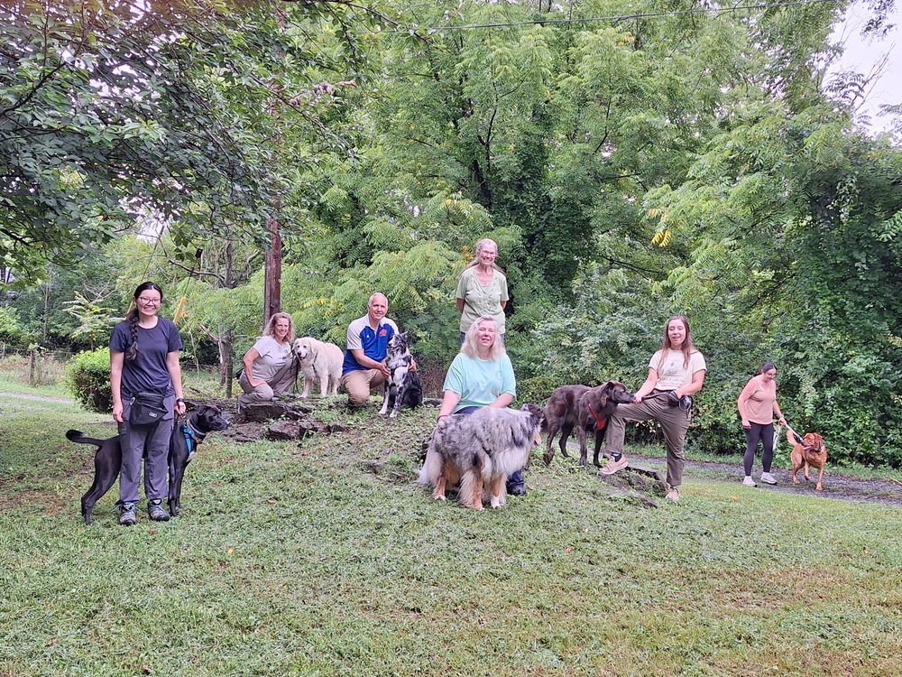 GRADUATION DAY - ADVANCE TRAINING AND BEHAVIOR STUDY | puppyworks