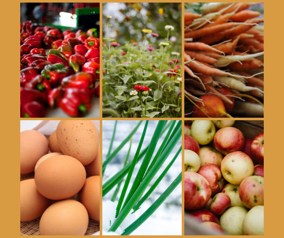 Multi-Farm & Cooperative CSA Models | CSA-IN