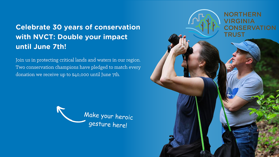 Northern Virginia Conservation Trust (NVCT)