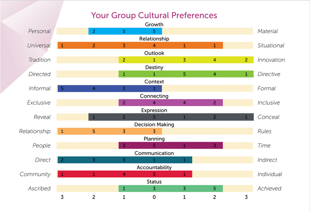 Unveiling the Cultural Mapping Inventory (CMi) Group Report