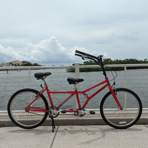 Buddy Bike Adventure Single Speed / Demo Bike | The Buddy Bike