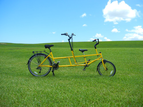Kidz Tandem Rear Steering Tandem Bicycle | The Buddy Bike
