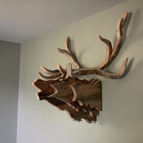 Stag Mounts | Groters Co