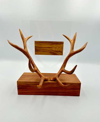 Antler Trophy | Groters Co