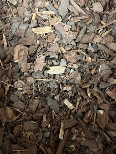 Pine Fines | American Landscape