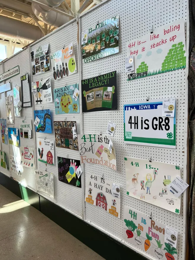 4H and FFA Competitions | Webster County Fairgrounds