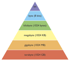 Lesson 3: megabytes vs megabits | Nick Steward