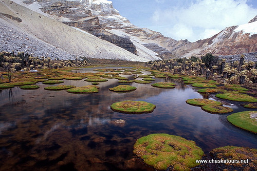 Wanderung im El Cocuy Naturpark (5 Tage) | Chaska Tours Colombia
