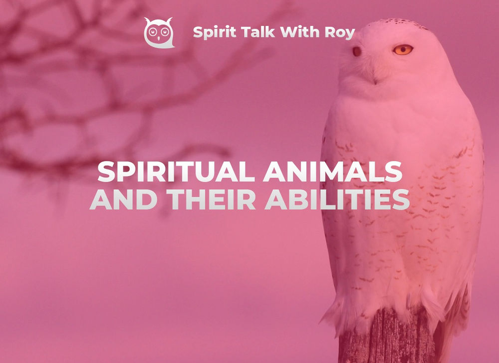 SPIRITUAL ANIMALS AND THEIR ABILITIES